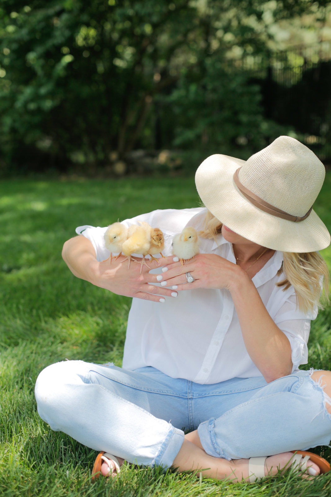 Ep 33 Chicken Q&A All About The Girls | Living With Landyn