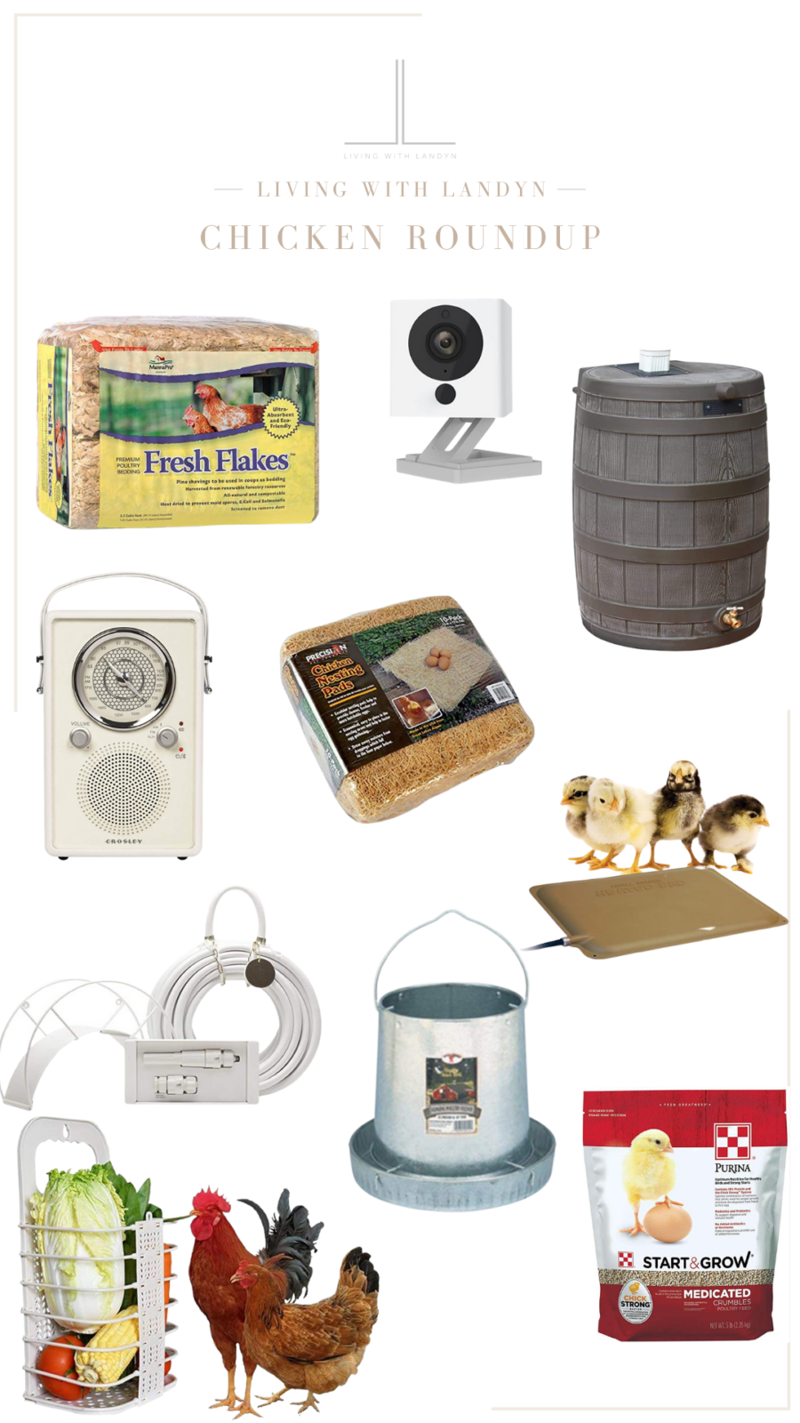 CHICKEN ROUNDUP | Living With Landyn