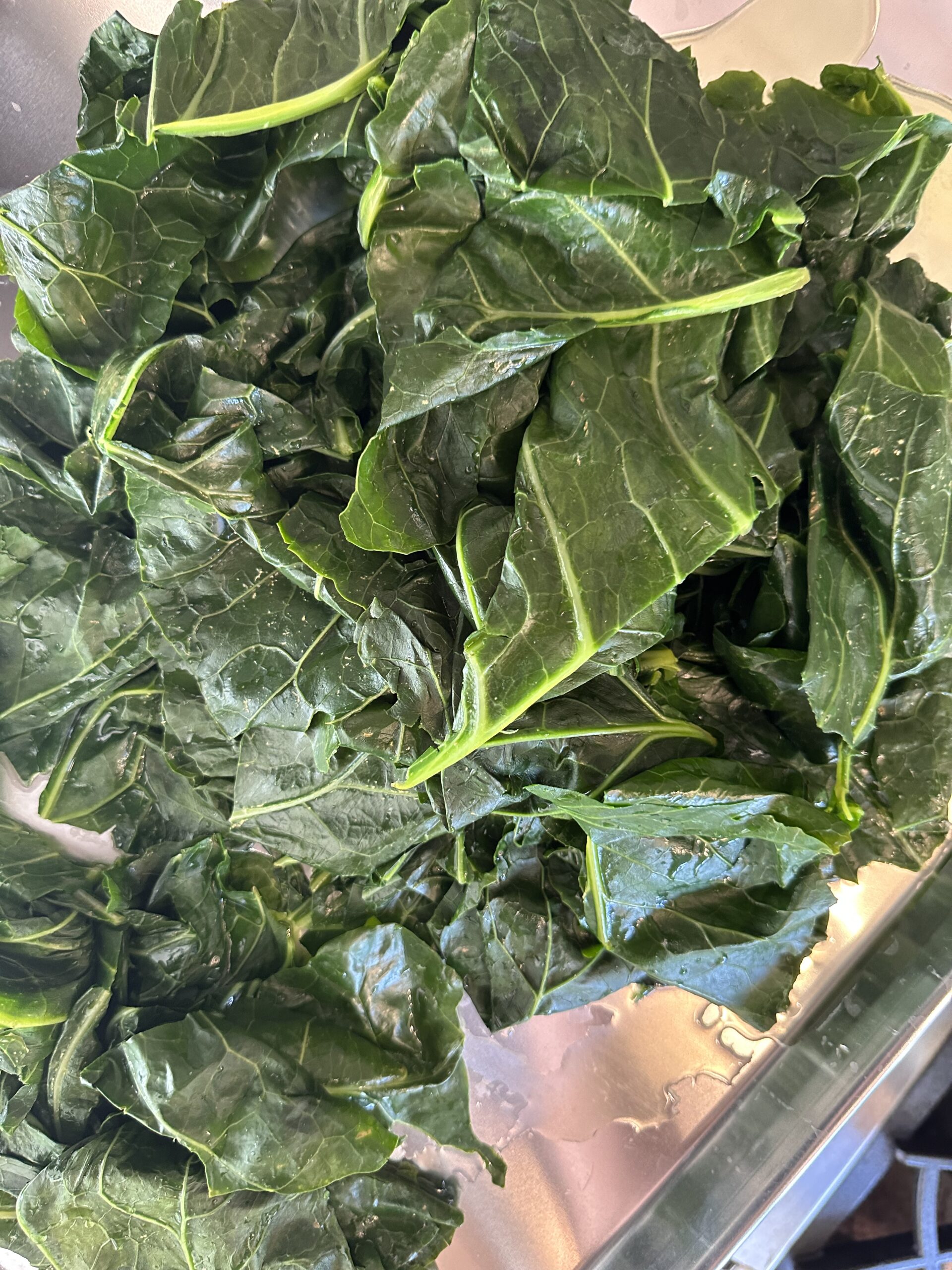 HORTA | Living With Landyn